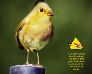 Ravio Angry Birds Realistic Digital Art | A Photoshop Wonder