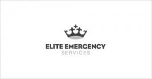 20+ Majestic Examples of Royal Crown Logo Designs For Inspiration