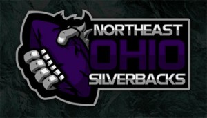 30 Turbo Awesome Sports Logos That Make You Feel Super Sporty