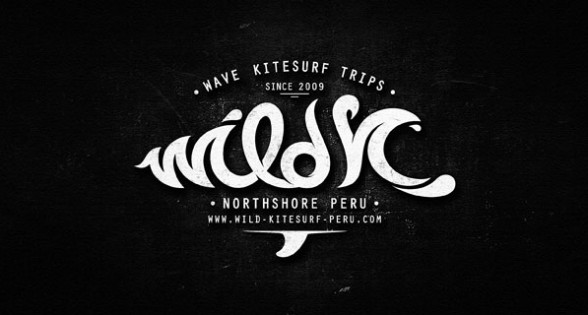 30 Perfectly Crafted Script Logotype Examples by Dalibor Momcilovic