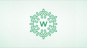 Bold & Thin Line Usage in Logo Design | 15 Beautiful Examples for ...