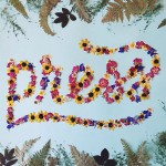 50+ Inspiring Food / Object Lettering Projects by Becca Clason