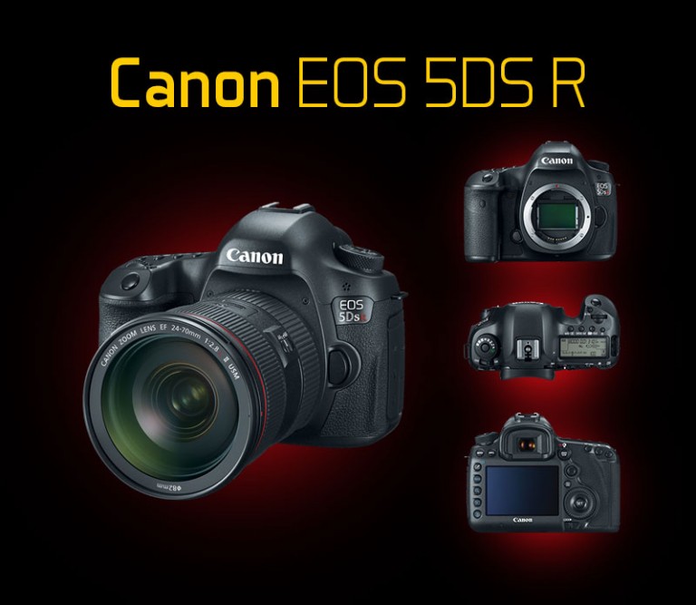 Top 5 Best Full Frame DSLR Canon Cameras for Pro Photographers
