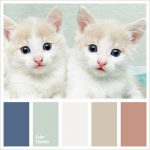 100+ Best Cool Color Combinations for Summer by Color Palettes