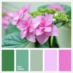 100+ Best Cool Color Combinations for Summer by Color Palettes