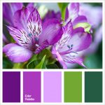 100+ Best Cool Color Combinations for Summer by Color Palettes
