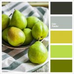100+ Best Cool Color Combinations for Summer by Color Palettes