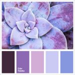100+ Best Cool Color Combinations for Summer by Color Palettes