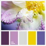 100+ Best Cool Color Combinations for Summer by Color Palettes