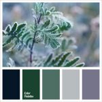 100+ Best Cool Color Combinations for Summer by Color Palettes