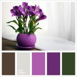 100+ Best Cool Color Combinations for Summer by Color Palettes