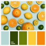 100+ Best Cool Color Combinations for Summer by Color Palettes