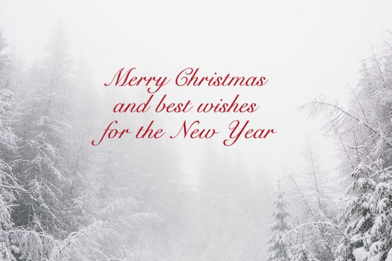 30+ Best Seasons & Christmas Greetings Messages & Quotes For Cards