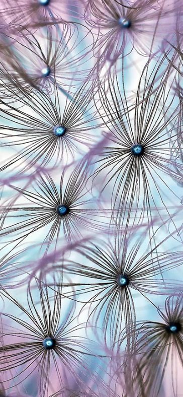 30 Cool Textures for iPhone X Background & Wallpapers - Designbolts