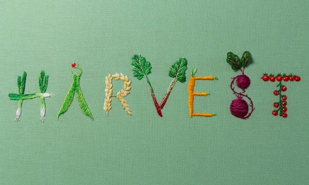 Awe-Inspiring Embroidered Typography Art By Jessica Dance - Designbolts