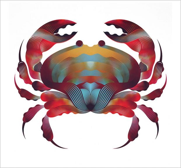 70+ Amazing Line Art Illustrations by Patrick Seymour - Designbolts