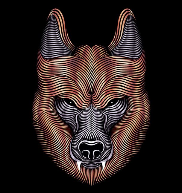 70+ Amazing Line Art Illustrations by Patrick Seymour | Designbolts