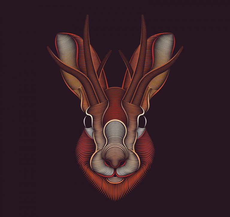 70+ Amazing Line Art Illustrations by Patrick Seymour | Designbolts