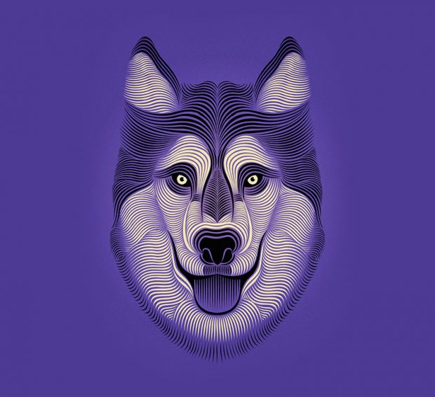 70+ Amazing Line Art Illustrations by Patrick Seymour | Designbolts