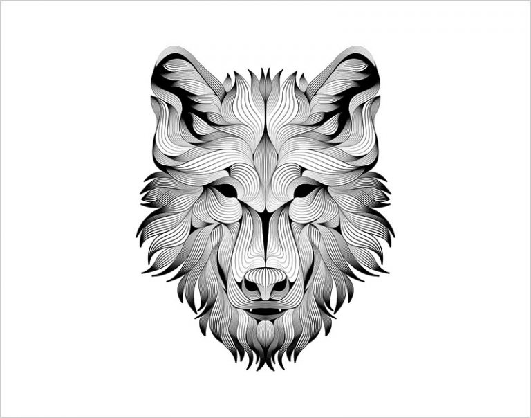 70+ Amazing Line Art Illustrations by Patrick Seymour | Designbolts