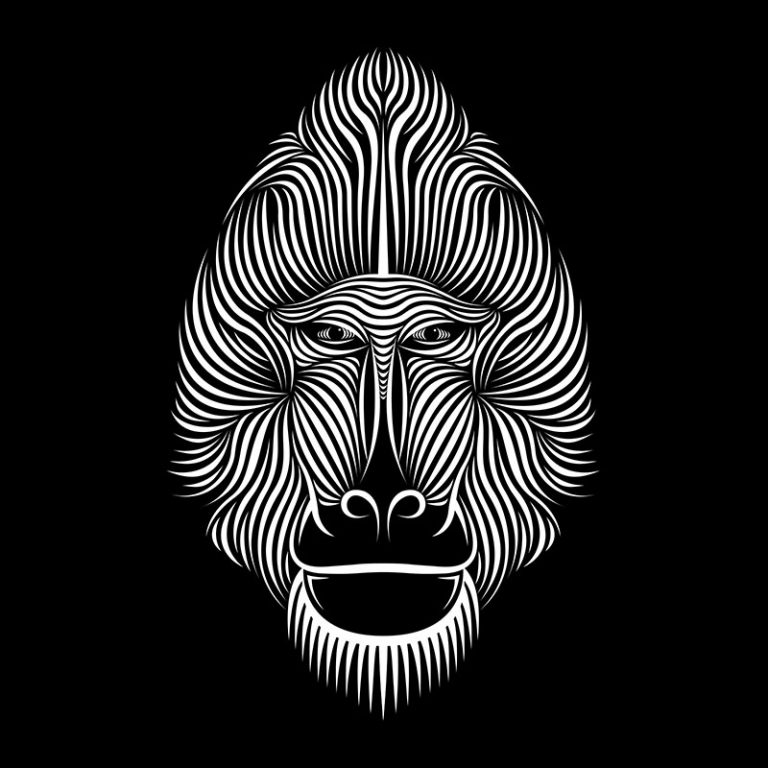 70+ Amazing Line Art Illustrations by Patrick Seymour | Designbolts