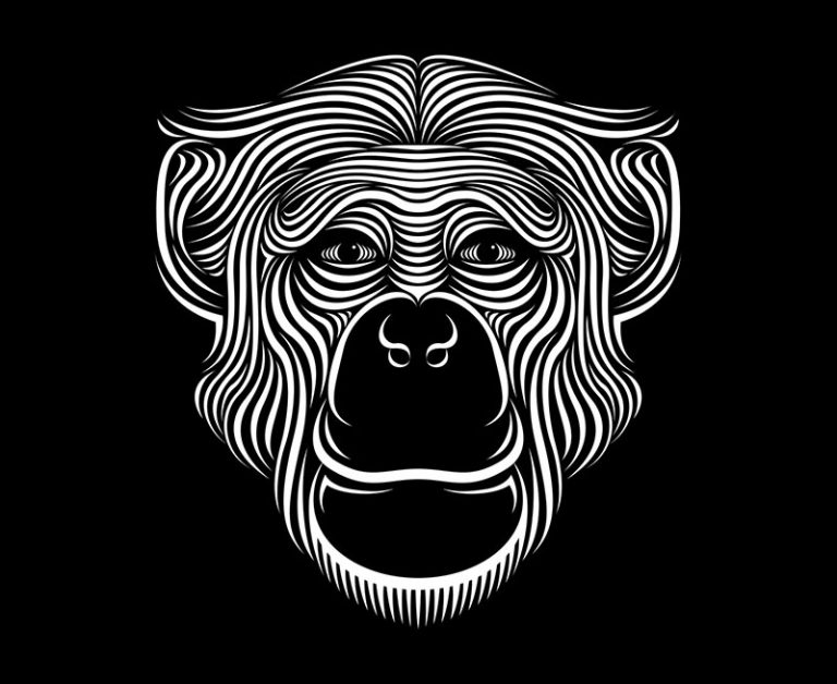 70+ Amazing Line Art Illustrations by Patrick Seymour | Designbolts