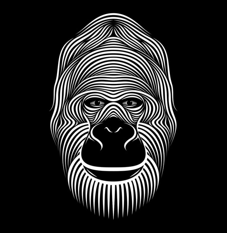 70+ Amazing Line Art Illustrations by Patrick Seymour | Designbolts