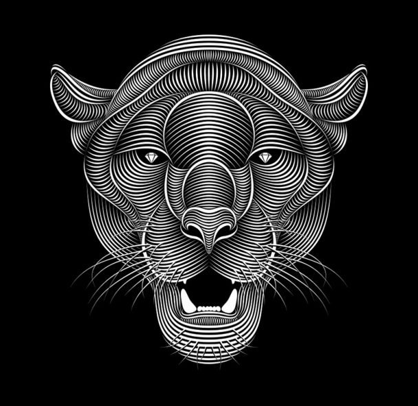 70+ Amazing Line Art Illustrations by Patrick Seymour | Designbolts