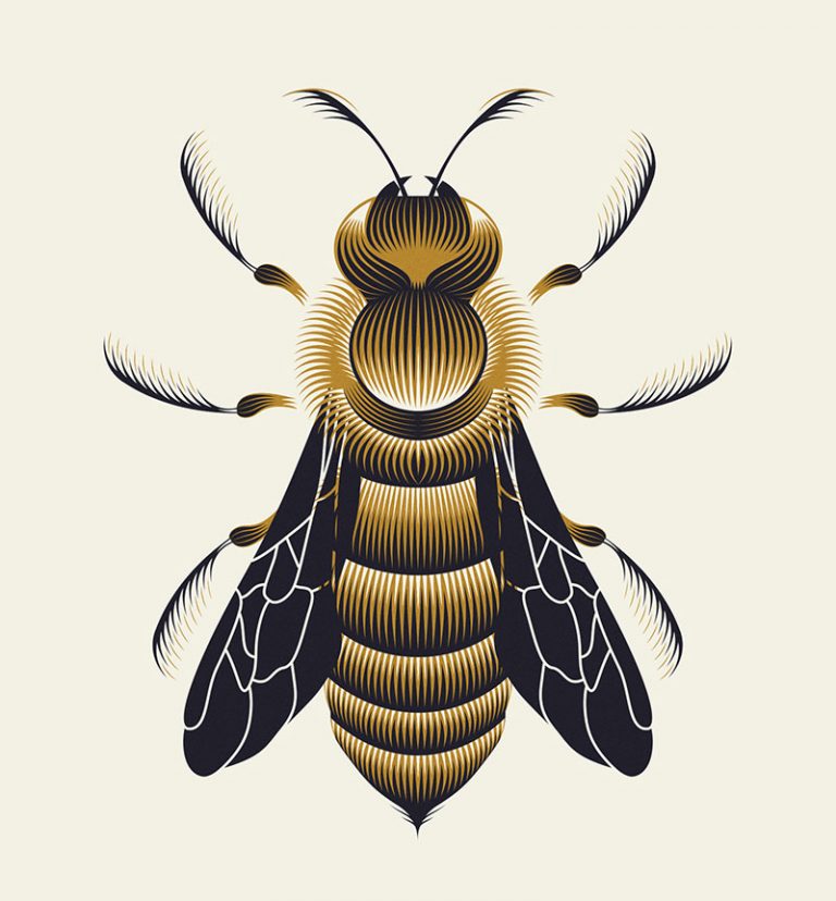 70+ Amazing Line Art Illustrations by Patrick Seymour - Designbolts