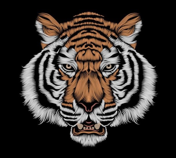 70+ Amazing Line Art Illustrations by Patrick Seymour | Designbolts