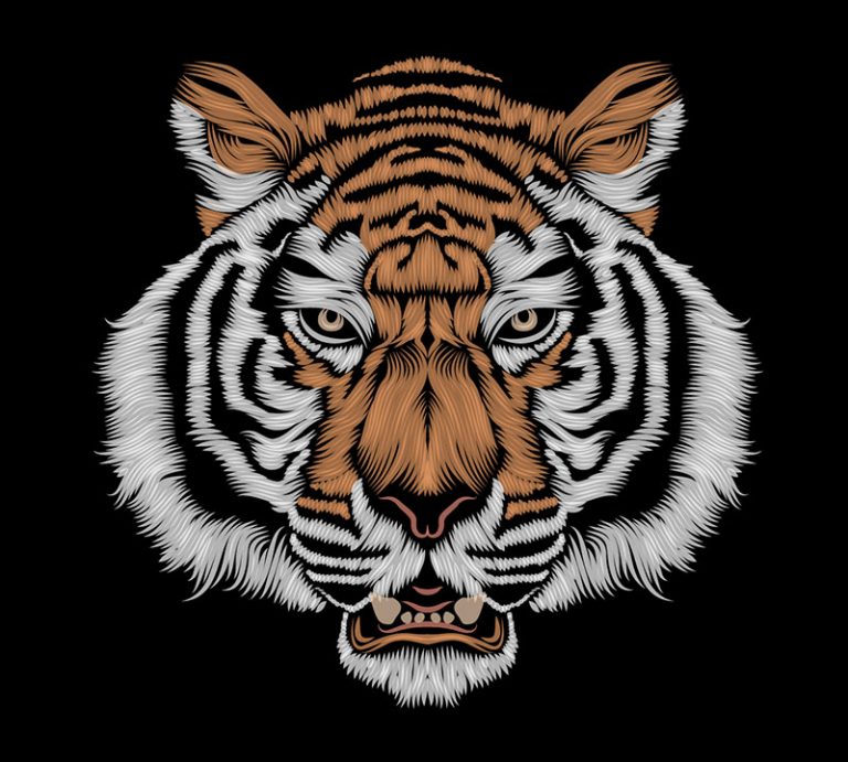 70+ Amazing Line Art Illustrations by Patrick Seymour | Designbolts