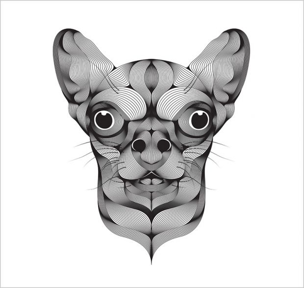 70+ Amazing Line Art Illustrations by Patrick Seymour - Designbolts