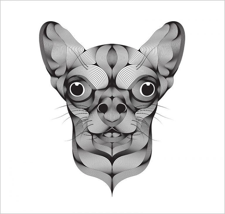 70+ Amazing Line Art Illustrations by Patrick Seymour - Designbolts