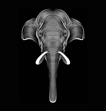 70+ Amazing Line Art Illustrations by Patrick Seymour - Designbolts