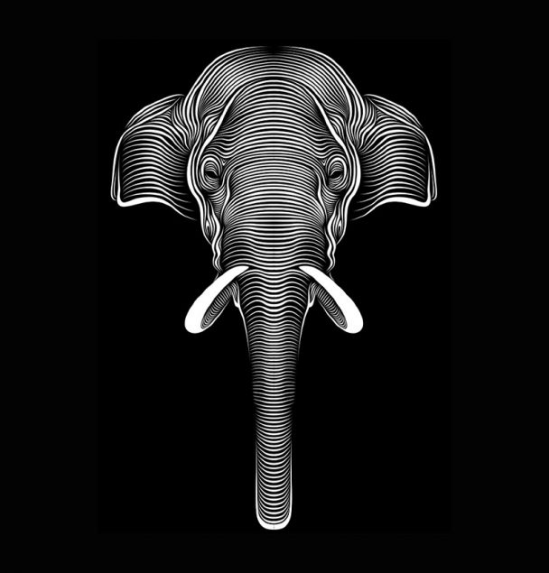 70+ Amazing Line Art Illustrations by Patrick Seymour - Designbolts