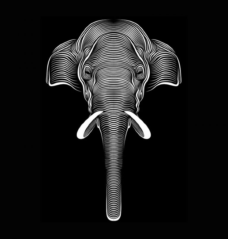 70+ Amazing Line Art Illustrations by Patrick Seymour - Designbolts