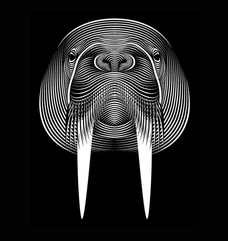 70+ Amazing Line Art Illustrations by Patrick Seymour - Designbolts