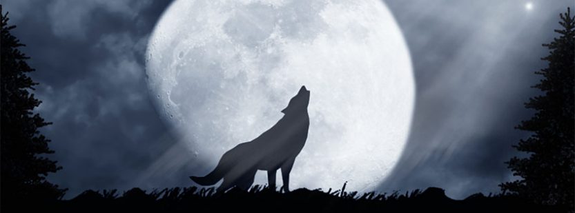 30+ Scary Happy Halloween 2019 Facebook Timeline Cover Photos & Images ...