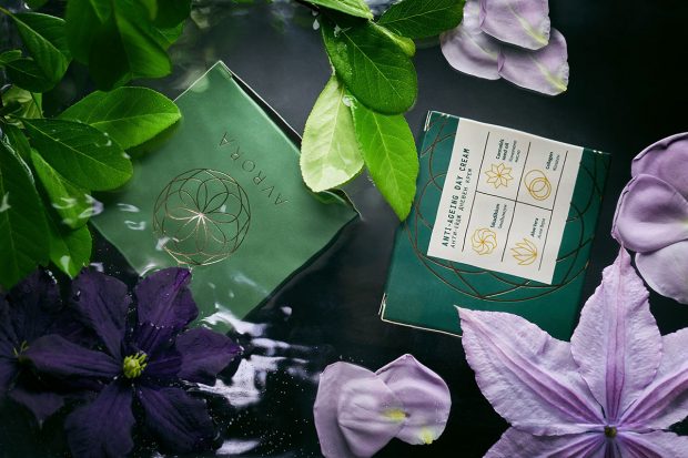 17+ Exquisite Packaging Design Presentations for Inspiration - Designbolts