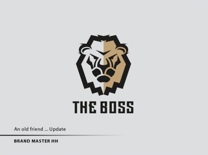 Some Professional Logo Design Ideas for Professionals - Designbolts