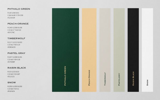 5 Best Color Schemes for Branding With Examples - Designbolts