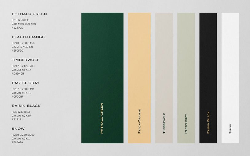 5 Best Color Schemes for Branding With Examples - Designbolts