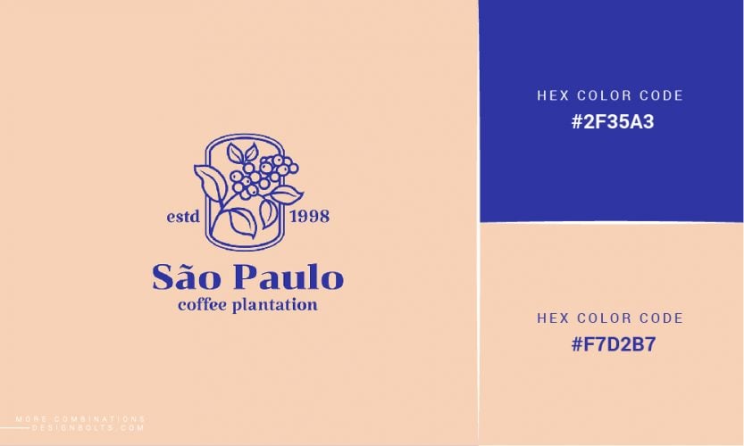 10 Good 2 Color Combinations 2021 That Look Great Together - Designbolts