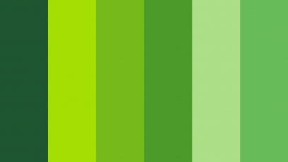 What Color Attracts Human Eye the Most - Designbolts