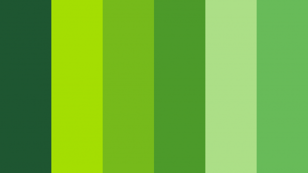 What Color Attracts Human Eye the Most - Designbolts