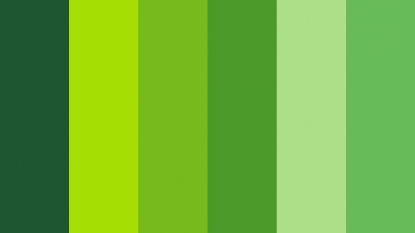 What Color Attracts Human Eye the Most - Designbolts