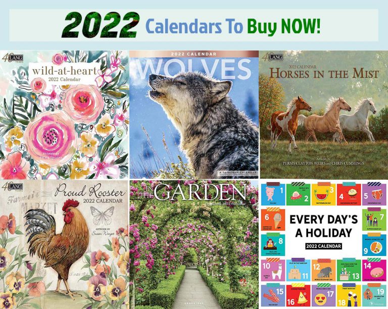 35 Best Selling Wall & Desk Calendars 2022 To Buy From Amazon - Designbolts