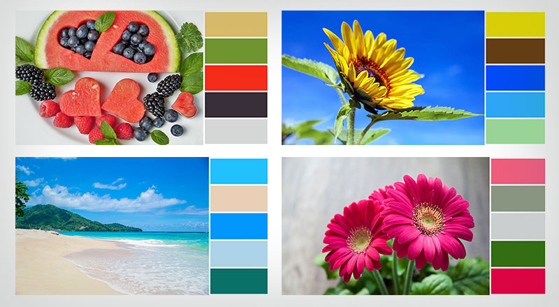 10 Best Summer 5 Color Combinations for 2022 - Designbolts