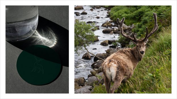 The Torridon | A 5-Star Hotel Brand Identity for Inspiration - Designbolts