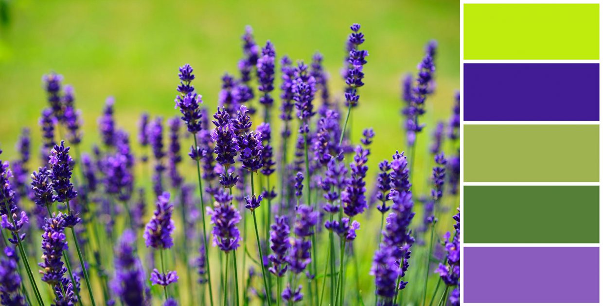 10 Best Summer 5 Color Combinations for 2022 - Designbolts